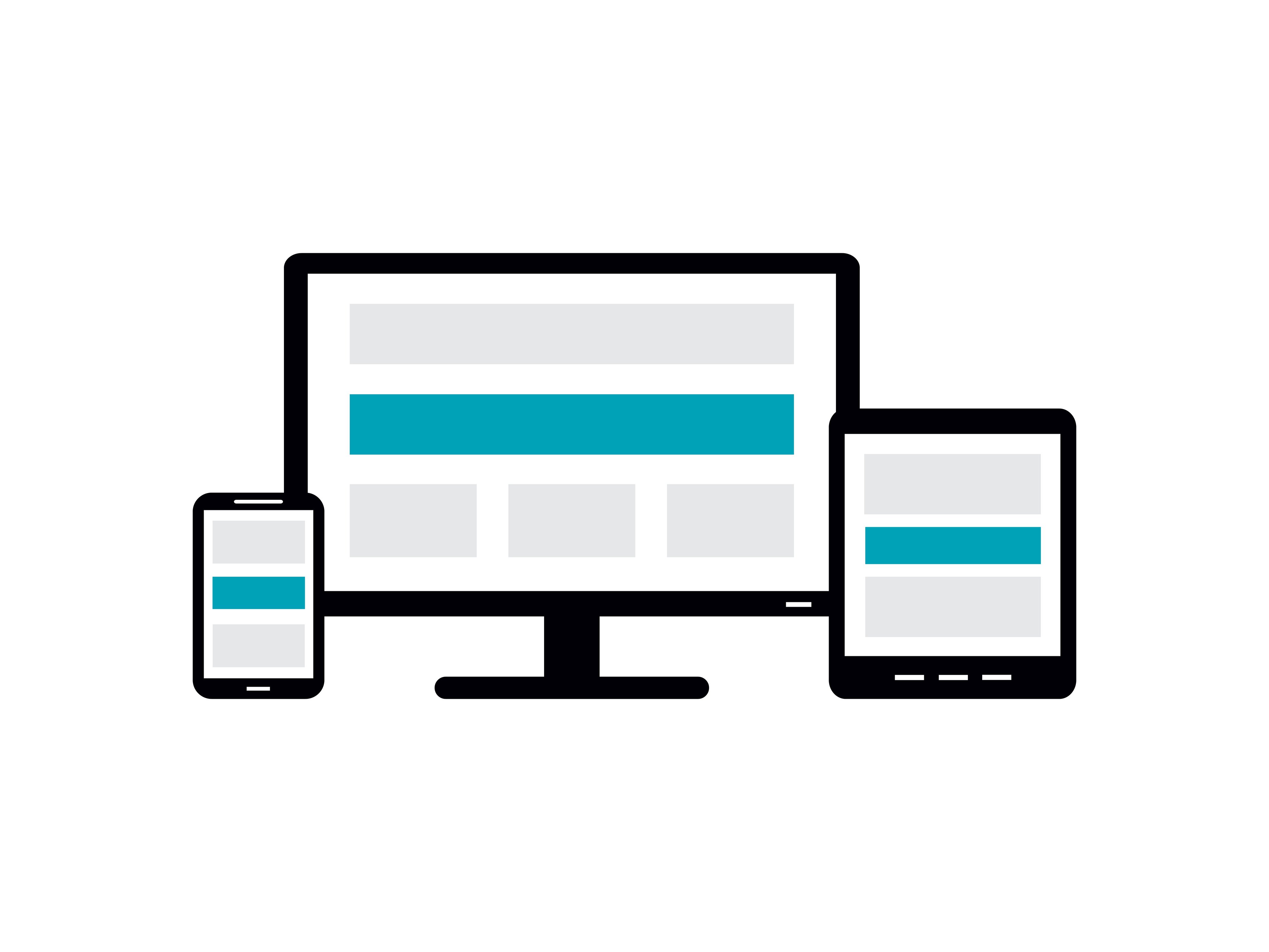 About Rasterex Software